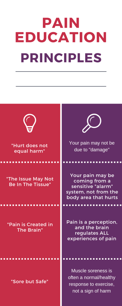 The Art of Pain Science Education – sapiens movēs