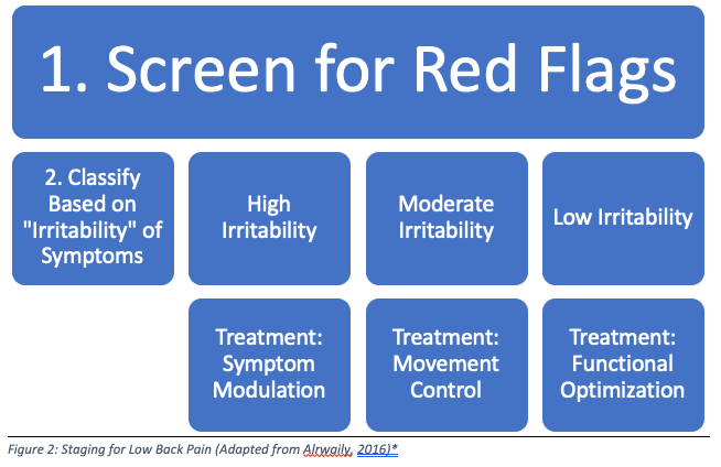 Effective Treatments for Low Back Pain: What Helps the Most – sapiens movēs