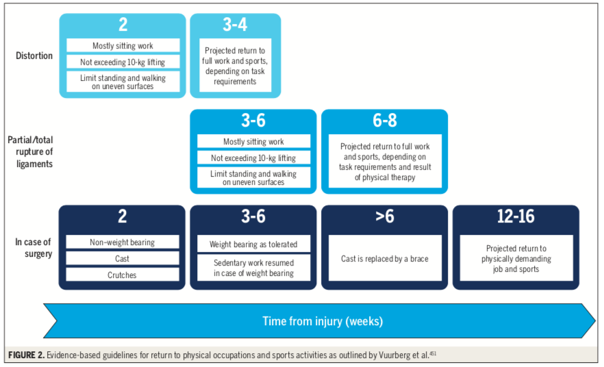 Back to Basics: Evidence-Based Treatment for Ankle Sprains – sapiens movēs