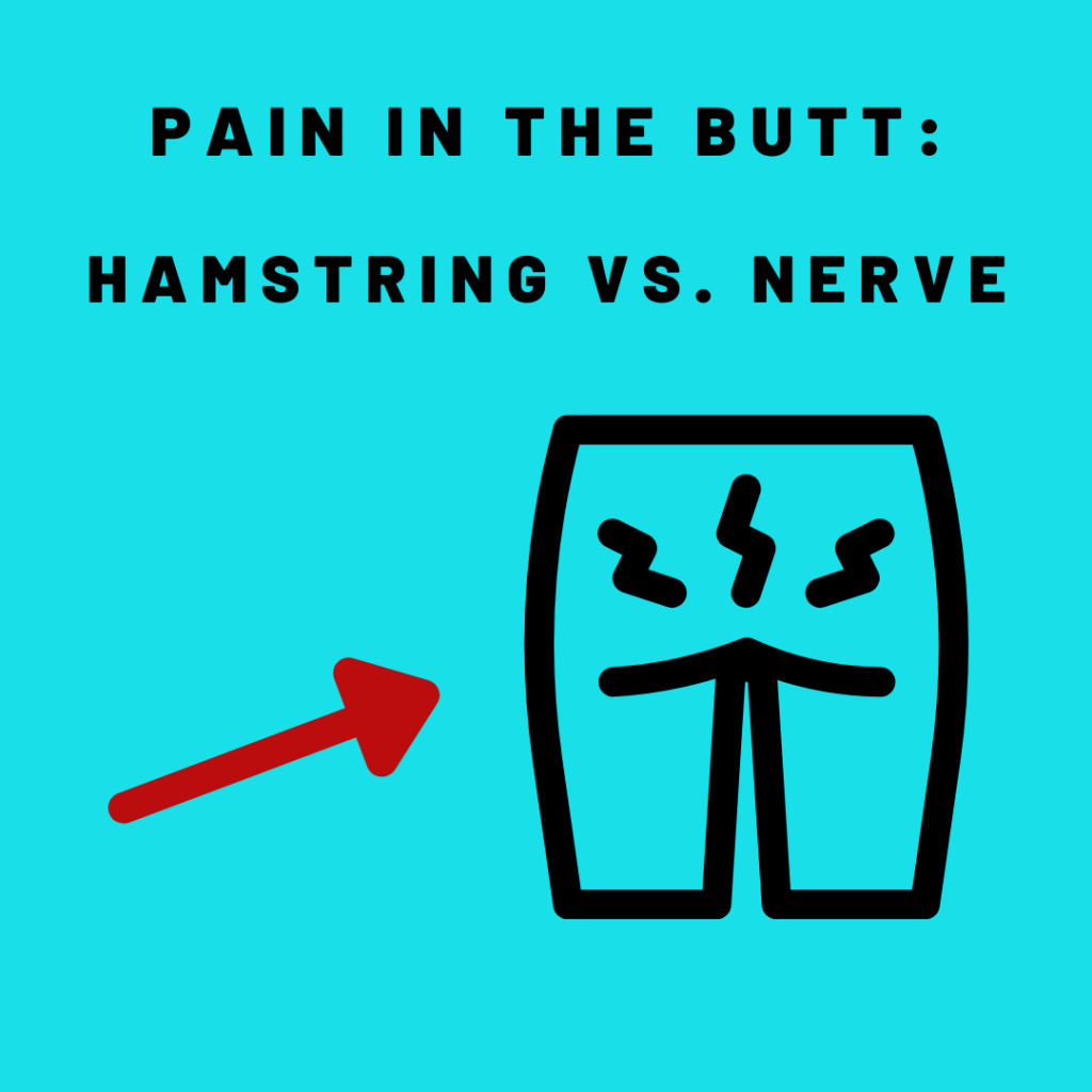 “Pain in the BUTT!”: Part 1- Differential Diagnosis of Posterior Thigh ...