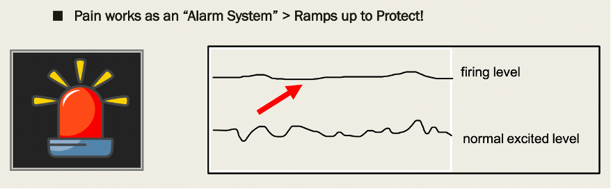 Physical Therapy Using A “Pain-Science” Informed Approach: Part 1: How ...