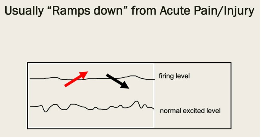 Physical Therapy Using A “Pain-Science” Informed Approach: Part 1: How ...