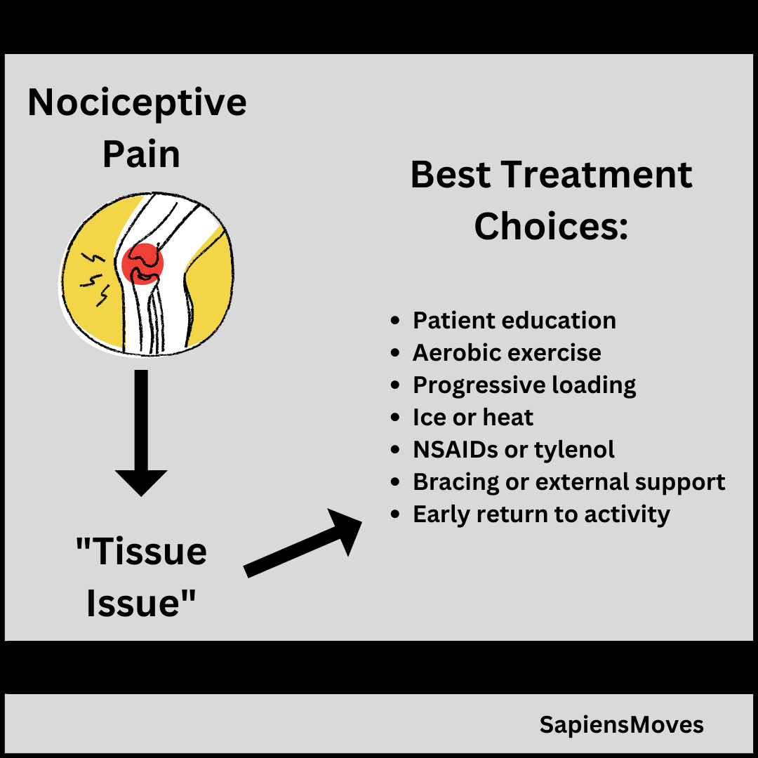 Physical Therapy Using A “Pain-Science” Informed Approach: Part 3 ...