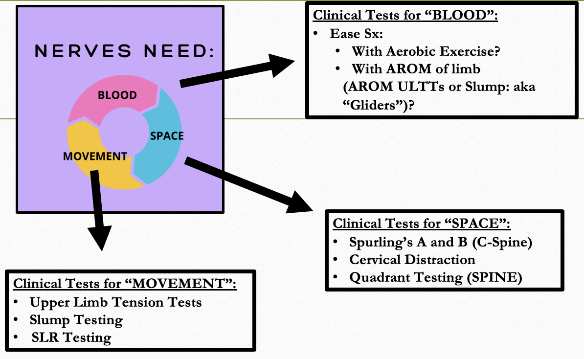 Physical Therapy Using A “Pain-Science” Informed Approach: Part 3 ...